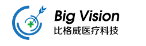 Company Introduction – Big Vision